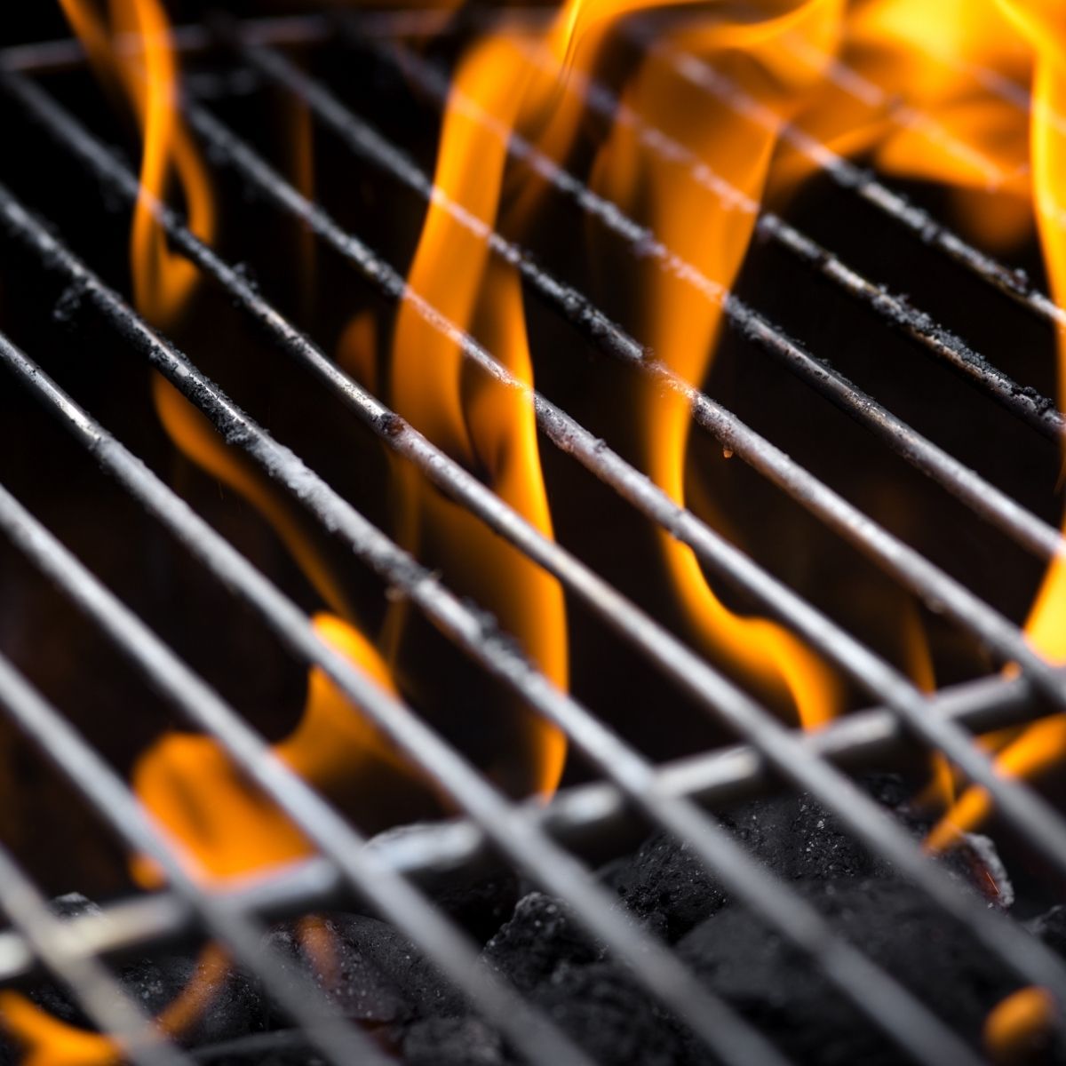 A Delicious Guide to the Different Types of Grills - UltiUber Life