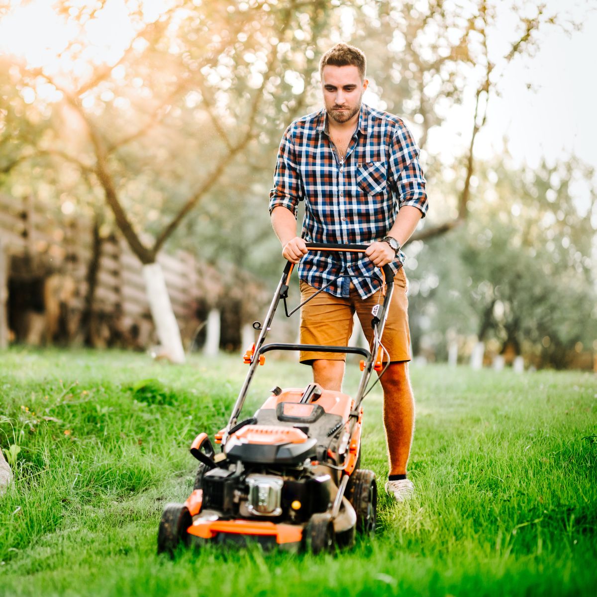 Simple Tips for Preventing Snow Mold on Grass