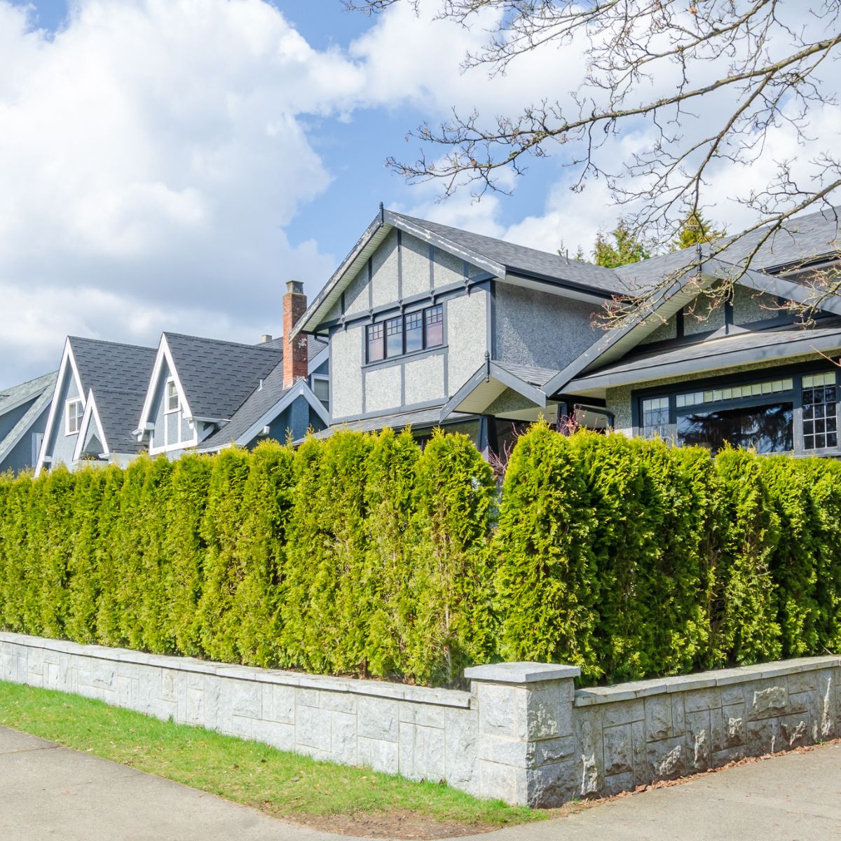 3 Problems Good Landscaping Design Helps Solve - UltiUber Life