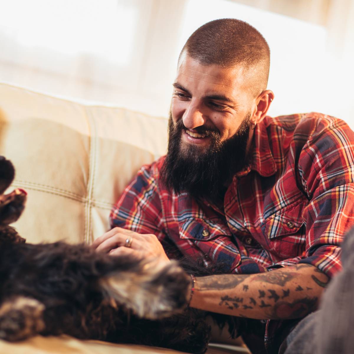 The Top 5 Best Home Upgrades for New Pet Owners - UltiUber Life