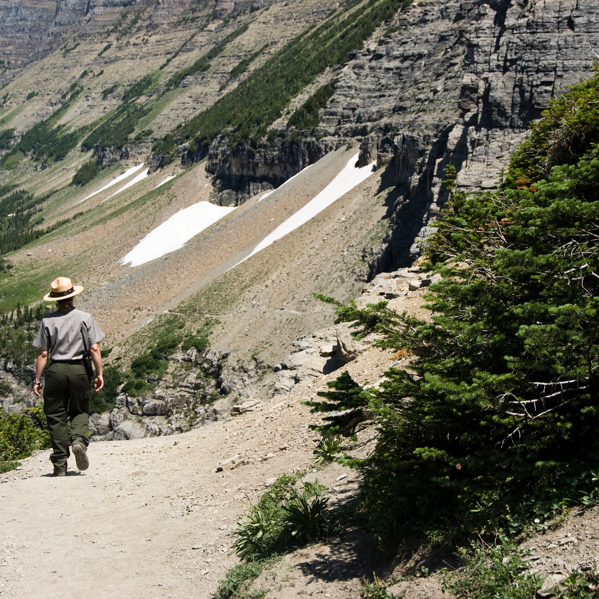 5 Careers That Make a Difference in Nature Conservation - UltiUber Life