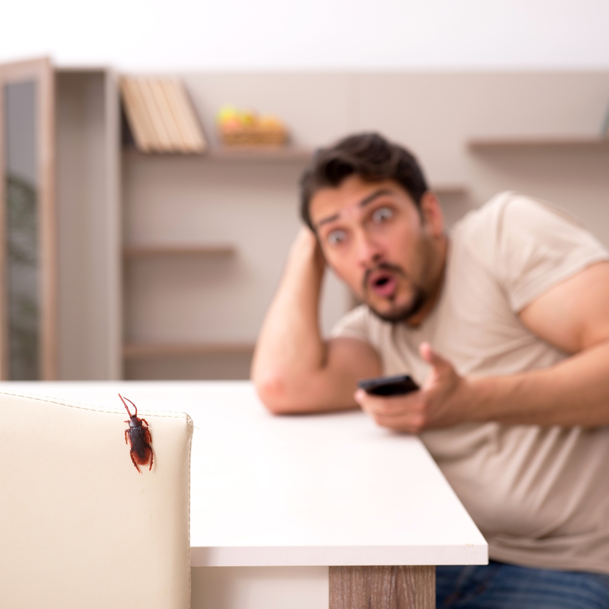 The Most Common Types of Home Infestations - UltiUber Life